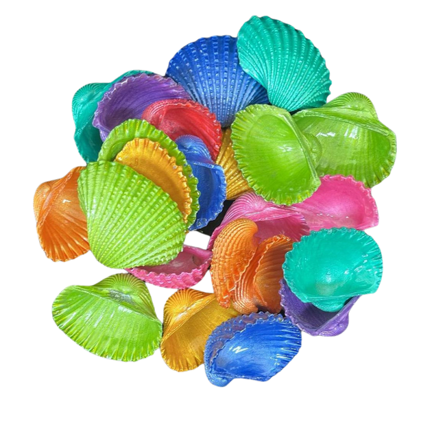 Dyed | Rainbow | White Arks | The Shell Connection