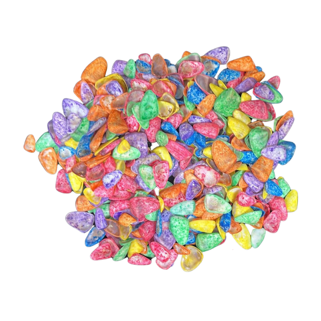 Dyed | Rainbow | Coquina | The Shell Connection