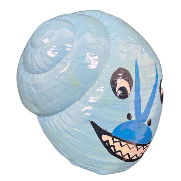 Large | Shark | Painted Happy Hermie Shell | The Shell Connection