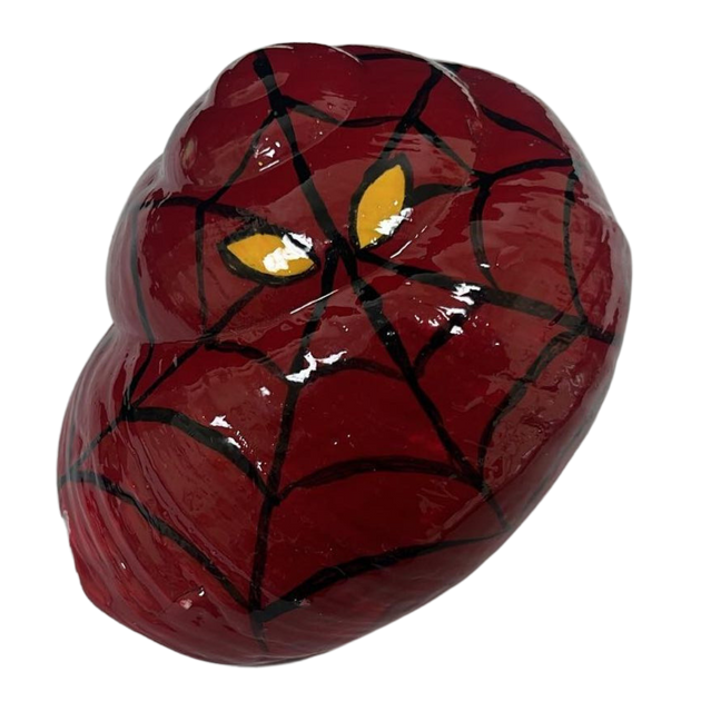 Large | Spider Hermie | Painted Happy Hermie Shell | The Shell Connection
