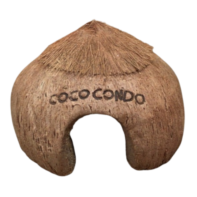 Coco Condo | Hermie Habitat | The Shell Connection