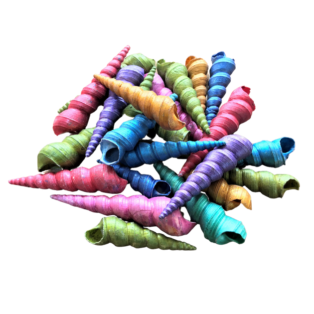 Dyed | Metallic | Turritella Terebra | The Shell Connection