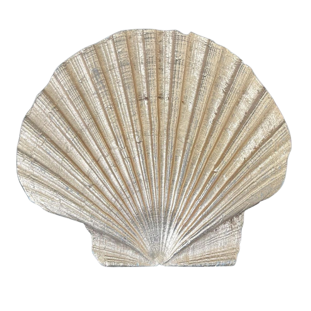 Painted Gold | Irish | Flat | The Shell Connection