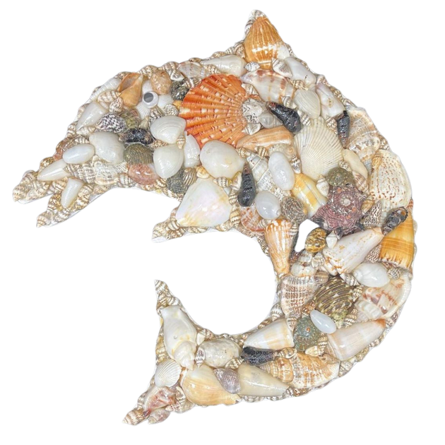 Wall | Dolphin | Assorted Shells | Novelty | The Shell Connection