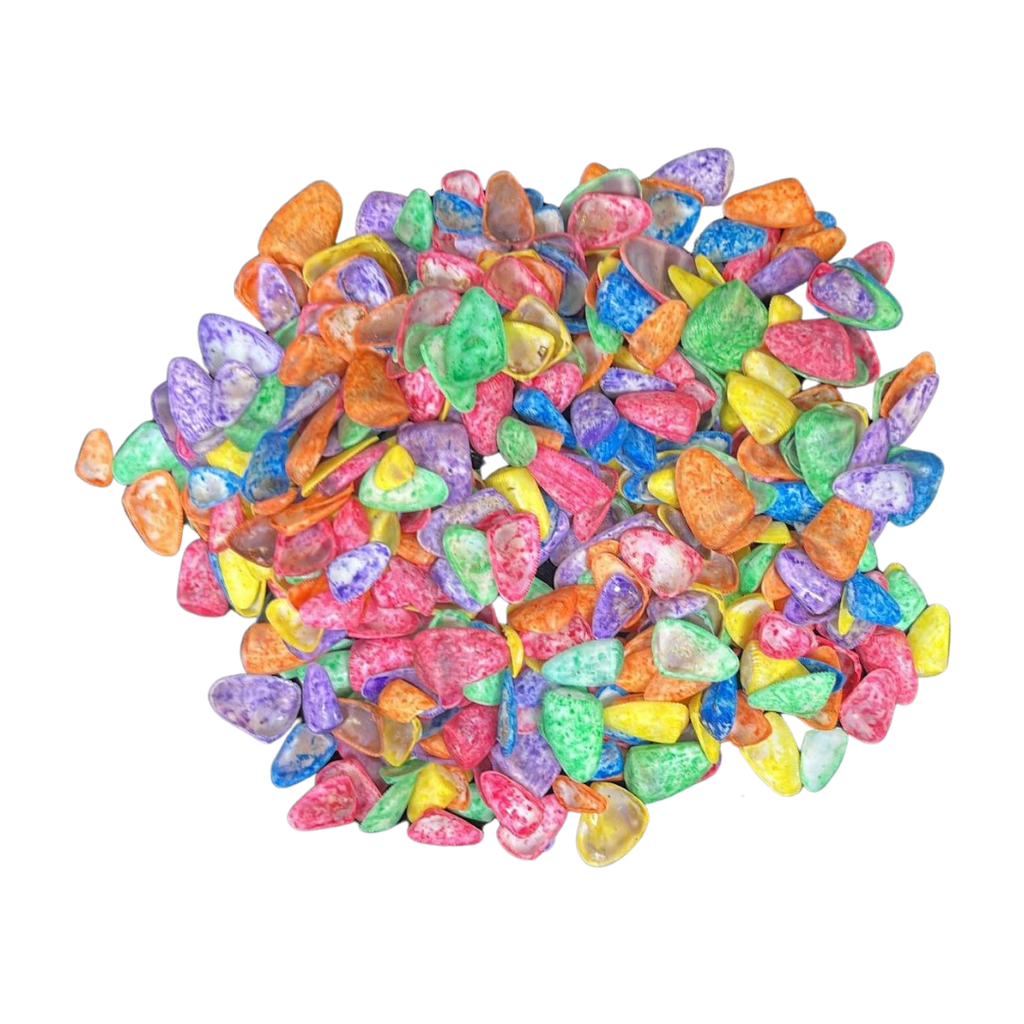 Dyed | Rainbow | Coquina | The Shell Connection