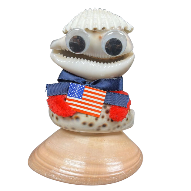 Mr. USA | Assorted Shells | Novelty | The Shell Connection