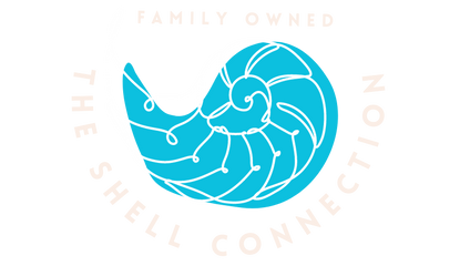 Wall Seashell Cross | The Shell Connection