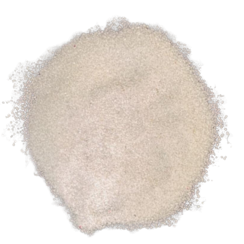 White | Calcium Sand | The Shell Connection