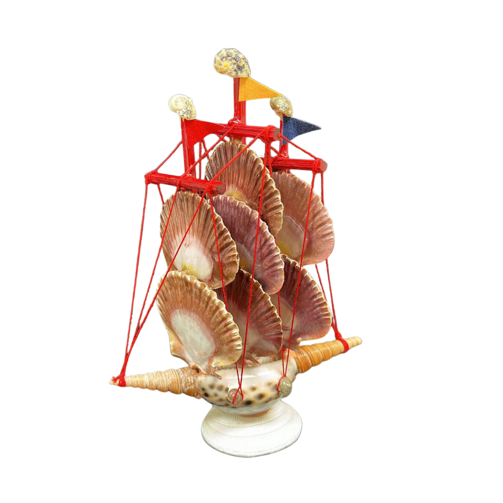 Ship | Assorted Shells | Novelty | The Shell Connection