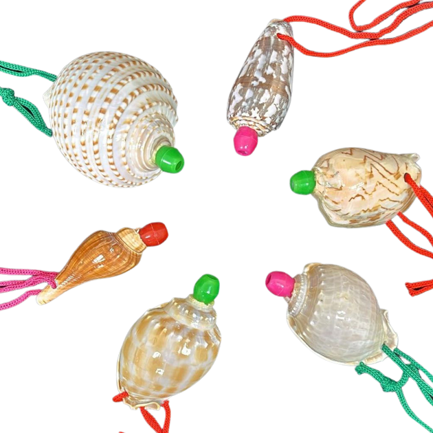 Necklace | Seashell Whistles | The Shell Connection