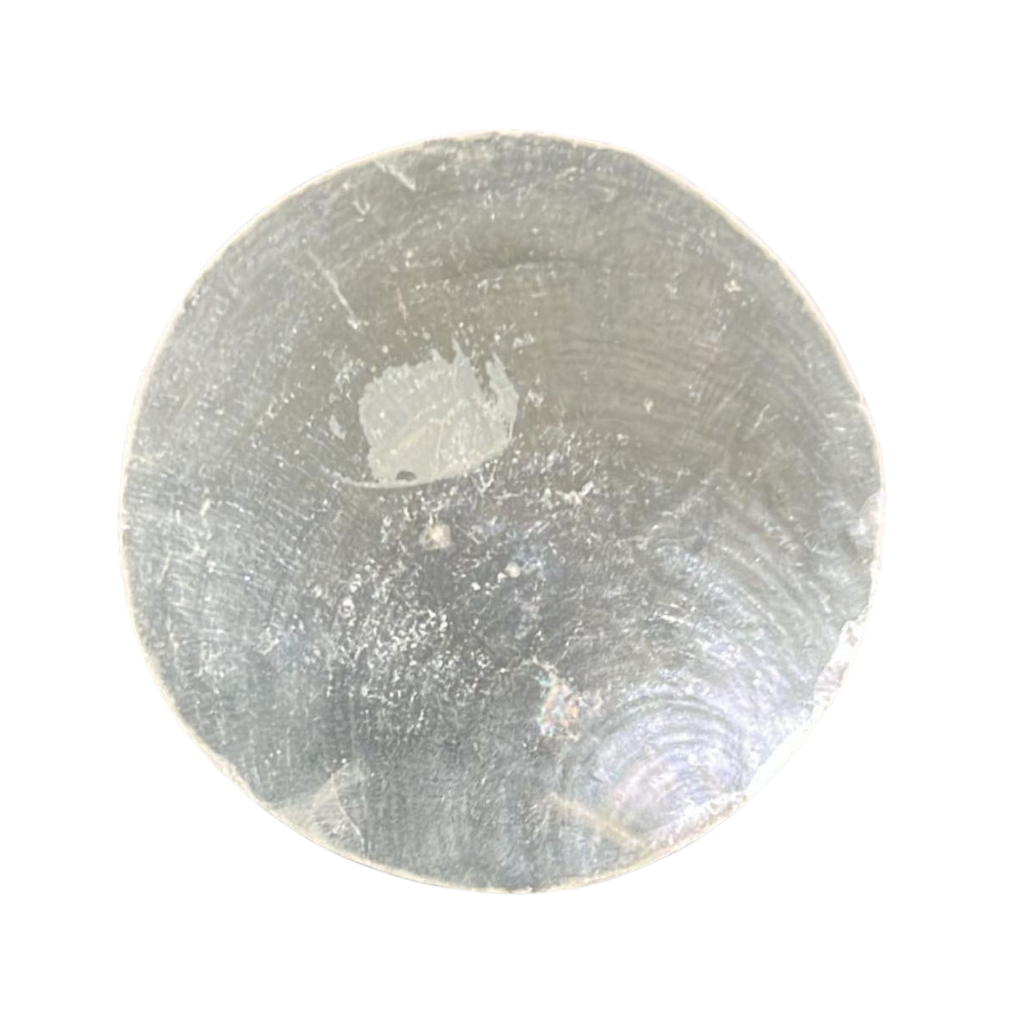 Capiz Shell | Oyster | The Shell Connection