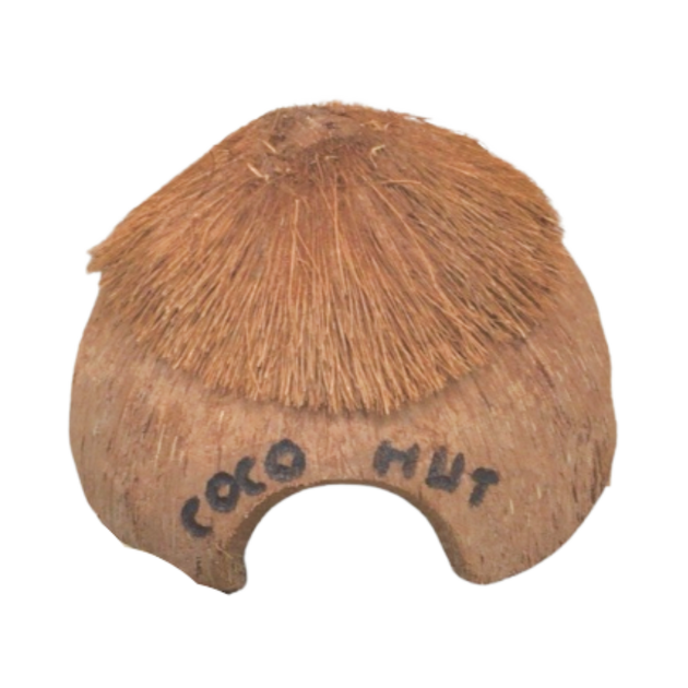 Coco Hut | Hermie Habitat | The Shell Connection