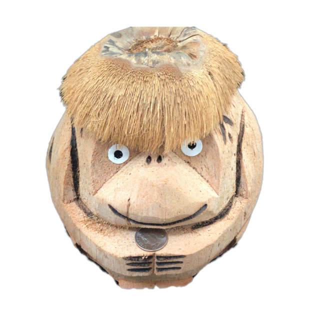 Monkey Hair | Coin Bank | Carved Coconut | The Shell Connection