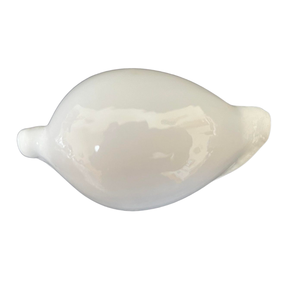 Egg | Cowrie | The Shell Connection