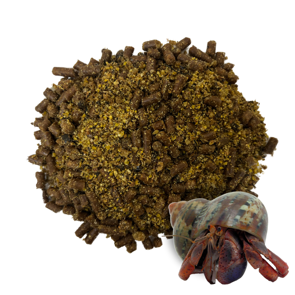 Hermit Crab Food | The Shell Connection