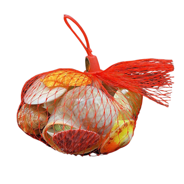 Polished | Medium | Net Bag | The Shell Connection