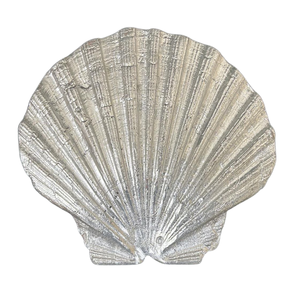 Painted Silver | Irish | Flat | The Shell Connection