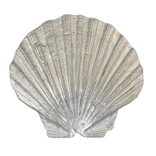 Painted Silver | Irish | Flat | The Shell Connection