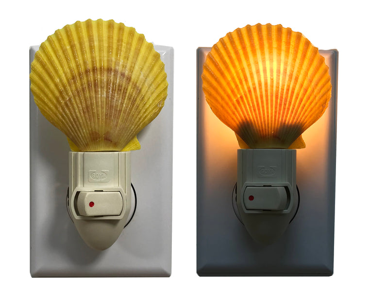 Yellow | Pecten Nobilis | Seashell Night Light | The Shell Connection